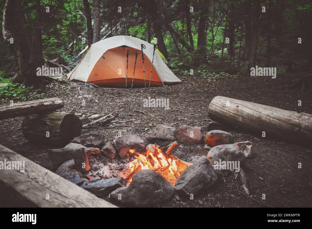 Campfire and tent in the woods Stock Photo - Alamy