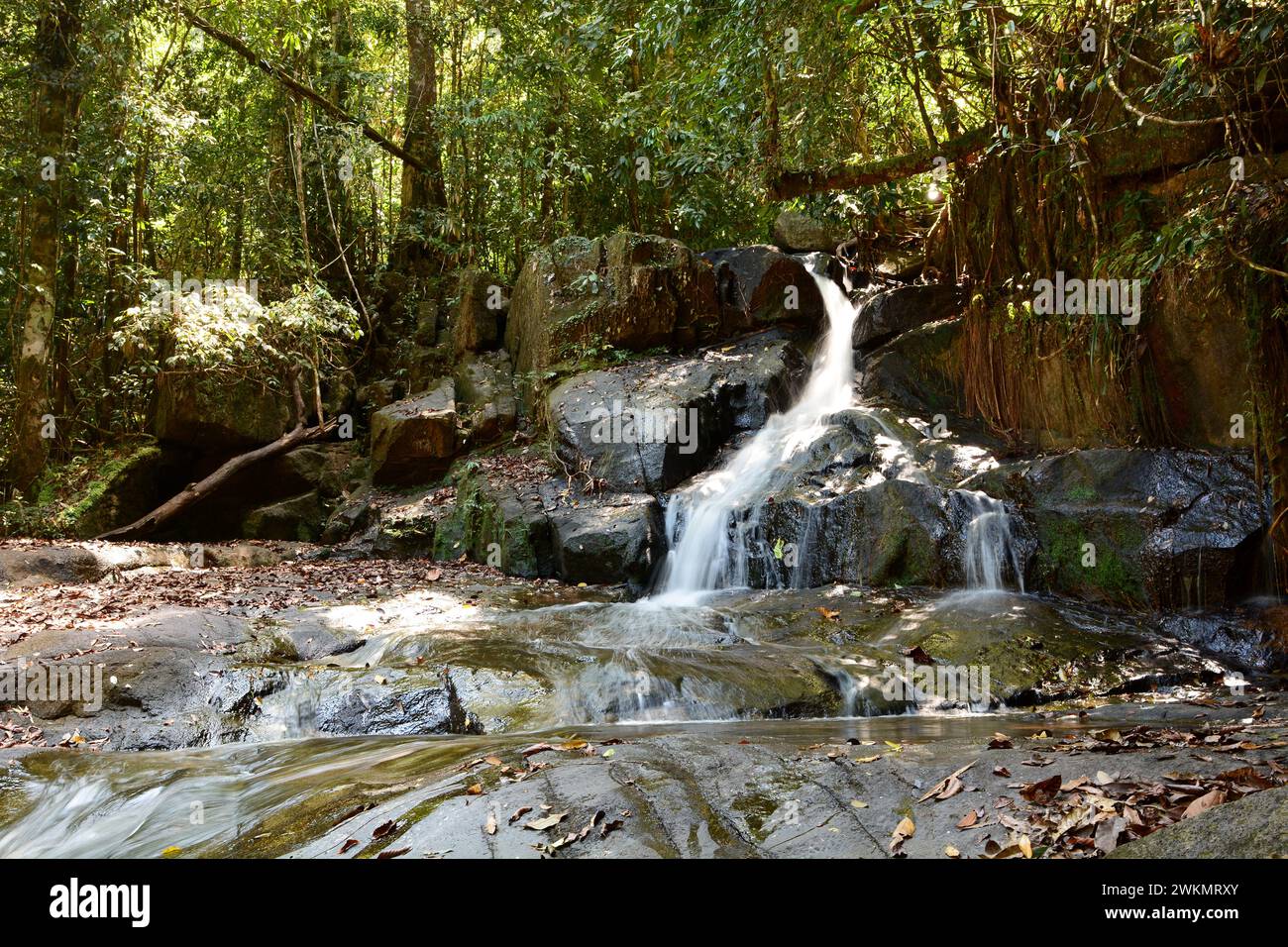 Ton chongfa hi-res stock photography and images - Alamy