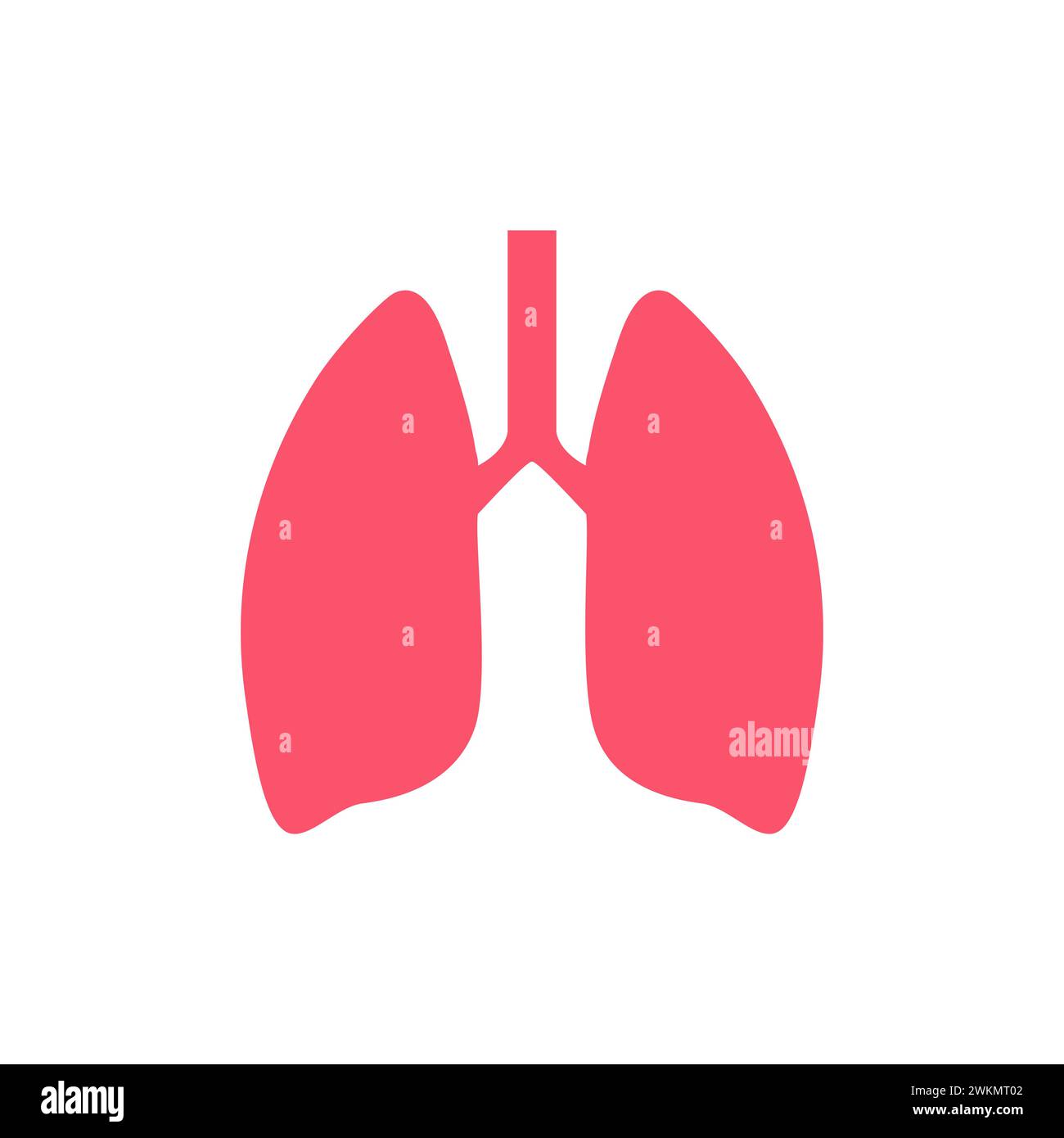 Human lung real hi-res stock photography and images - Alamy