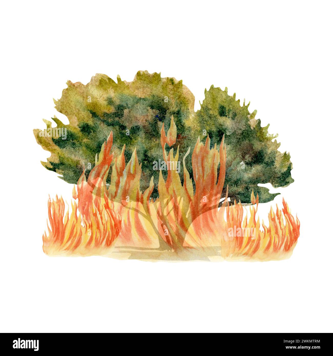 Wildfire relief Cut Out Stock Images & Pictures - Alamy