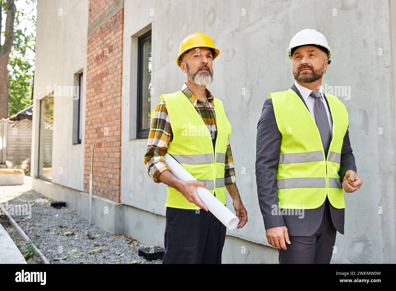 dedicated bearded cottage builder and architect with blueprint ...