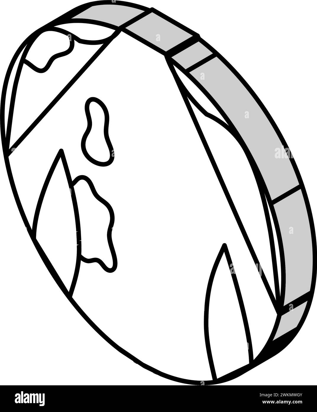 rash skin lesions disease symptom isometric icon vector illustration ...