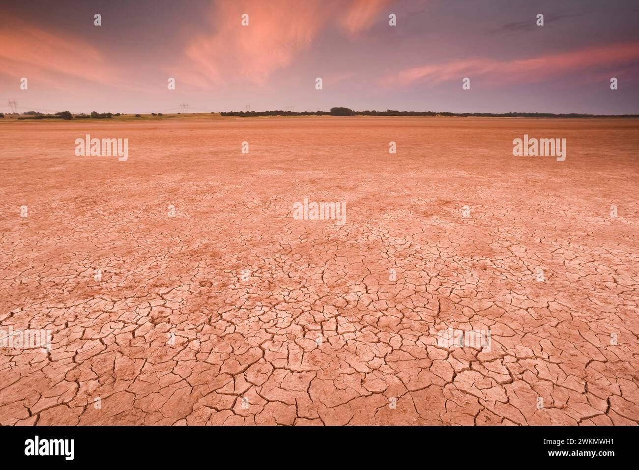 Desert soil in a dry lagoon, La Pampa province, Patagonia, Argentina ...
