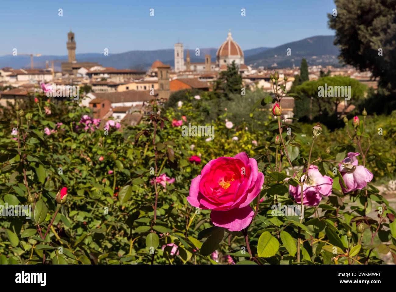 Descending from Piazzale Michelangelo that overlooks Florence is the ...