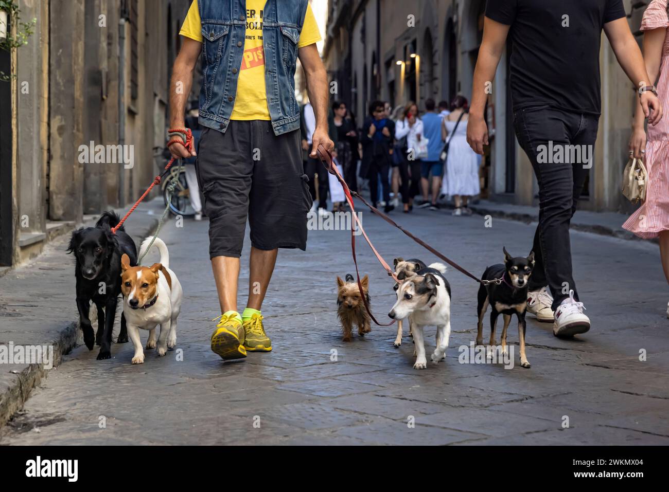 Life in the Florence, Italy, the Renaissance capital of the world ...