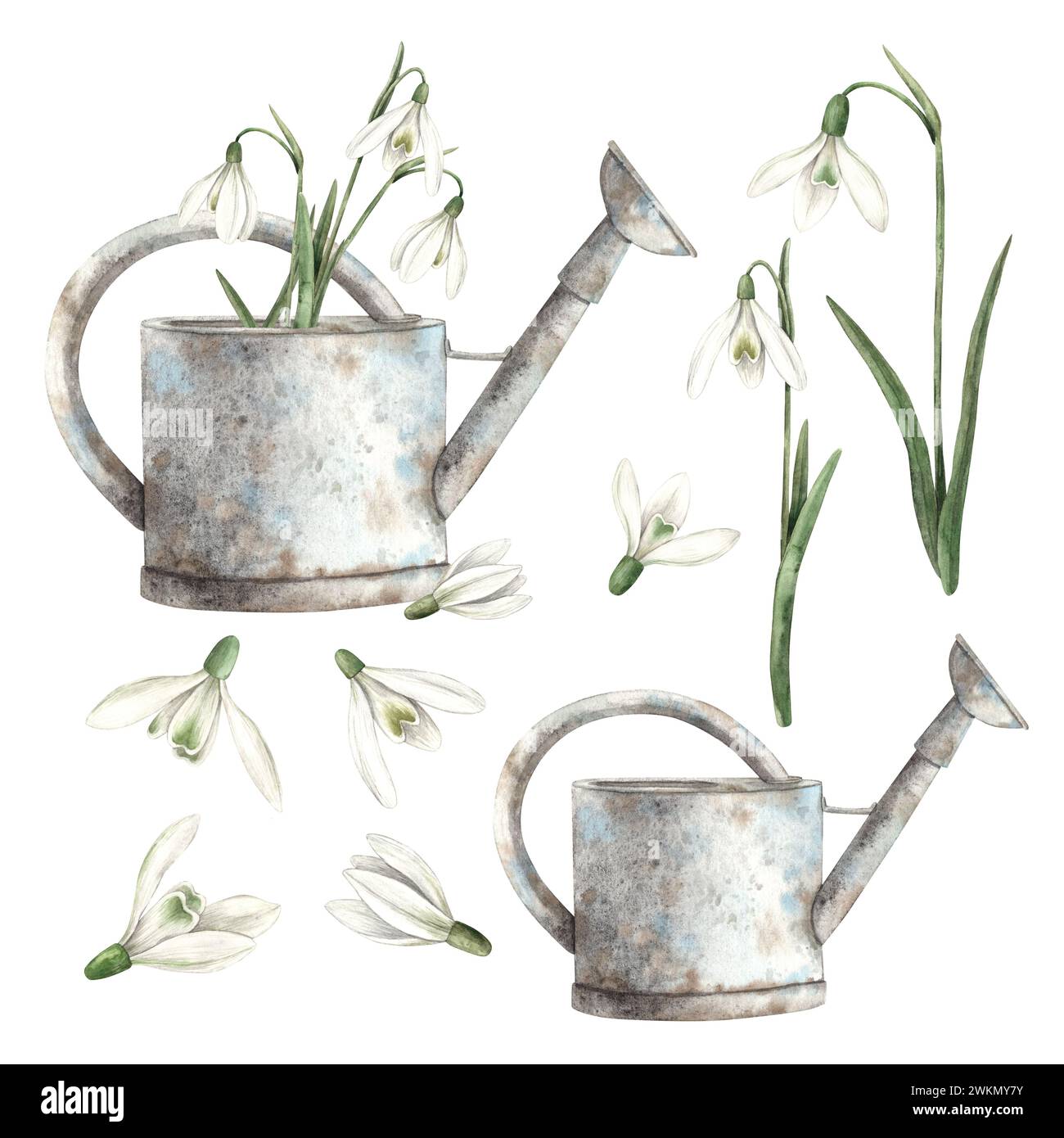 Watercolor set of rusty watering can and spring snowdrops. Hand drawn ...