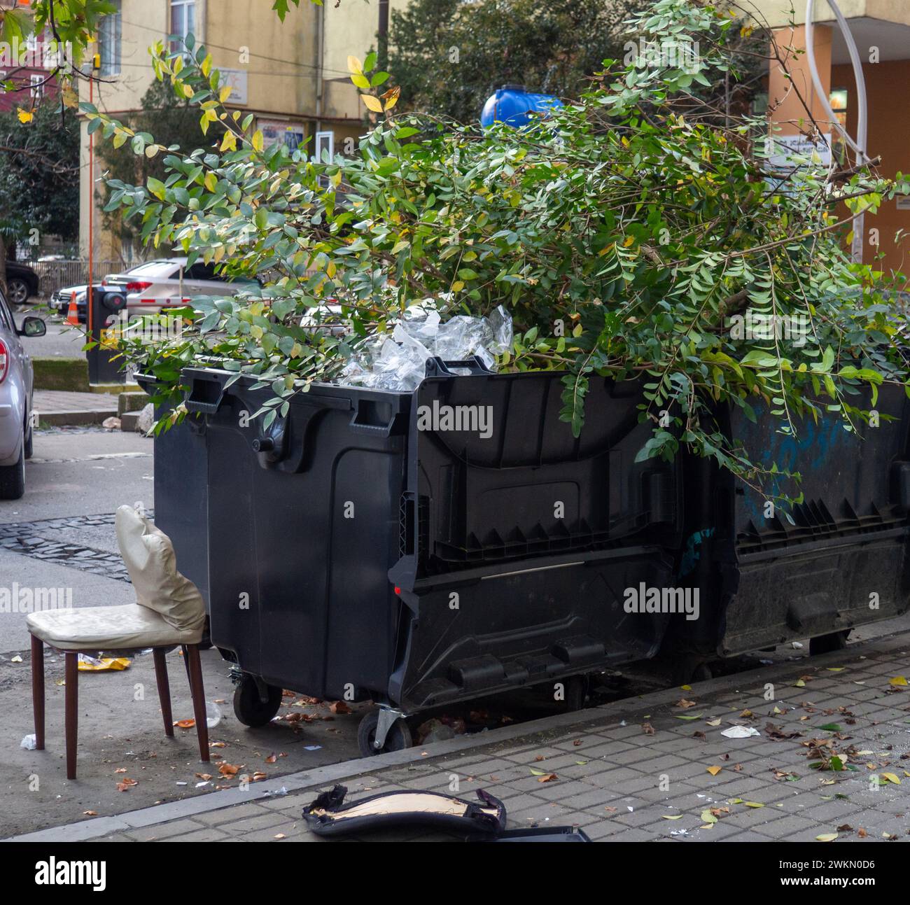 Branches in a trash can. Dumpster on the street. Asia Stock Photo - Alamy