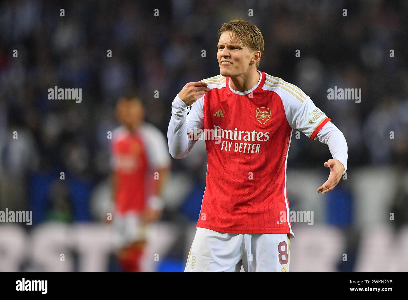 21st February 2024: Dragon Stadium, Porto, Portugal; Champions League ...