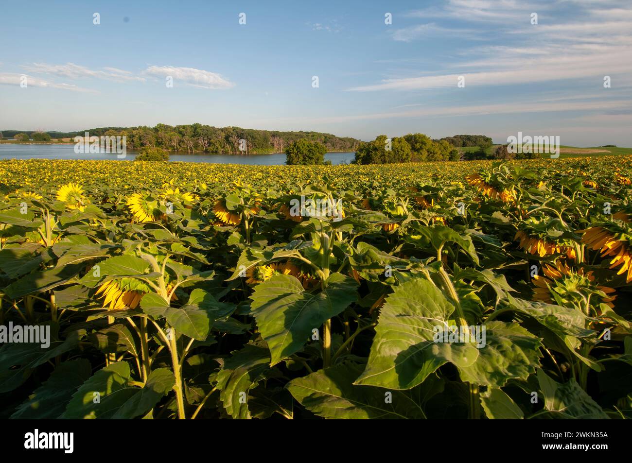 East facing view hi-res stock photography and images - Alamy