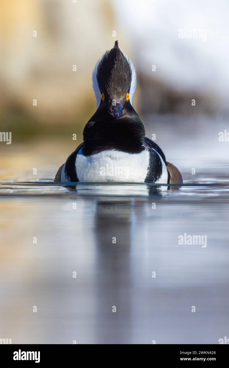 Brown river wt hi-res stock photography and images - Alamy