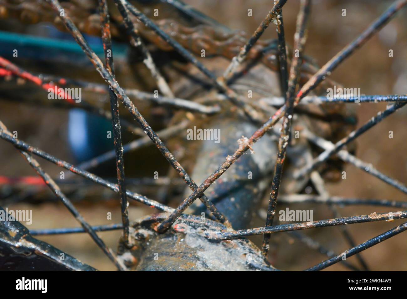 Back view old rusty hi-res stock photography and images - Alamy