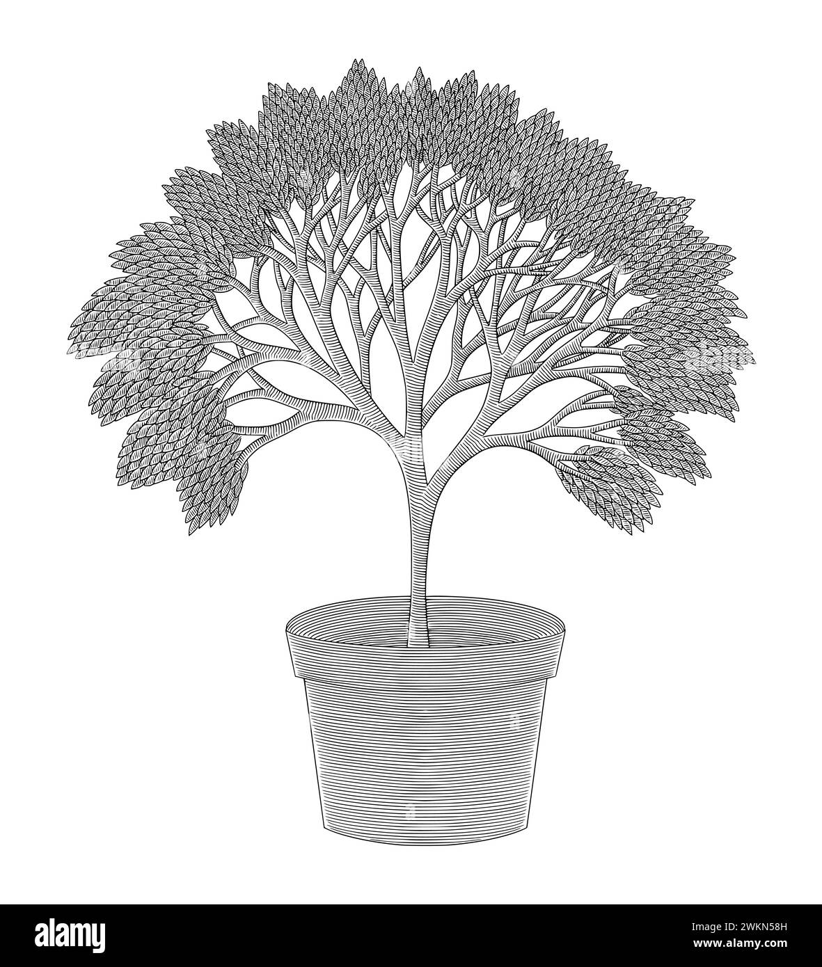 Banyan Tree Pencil Drawing