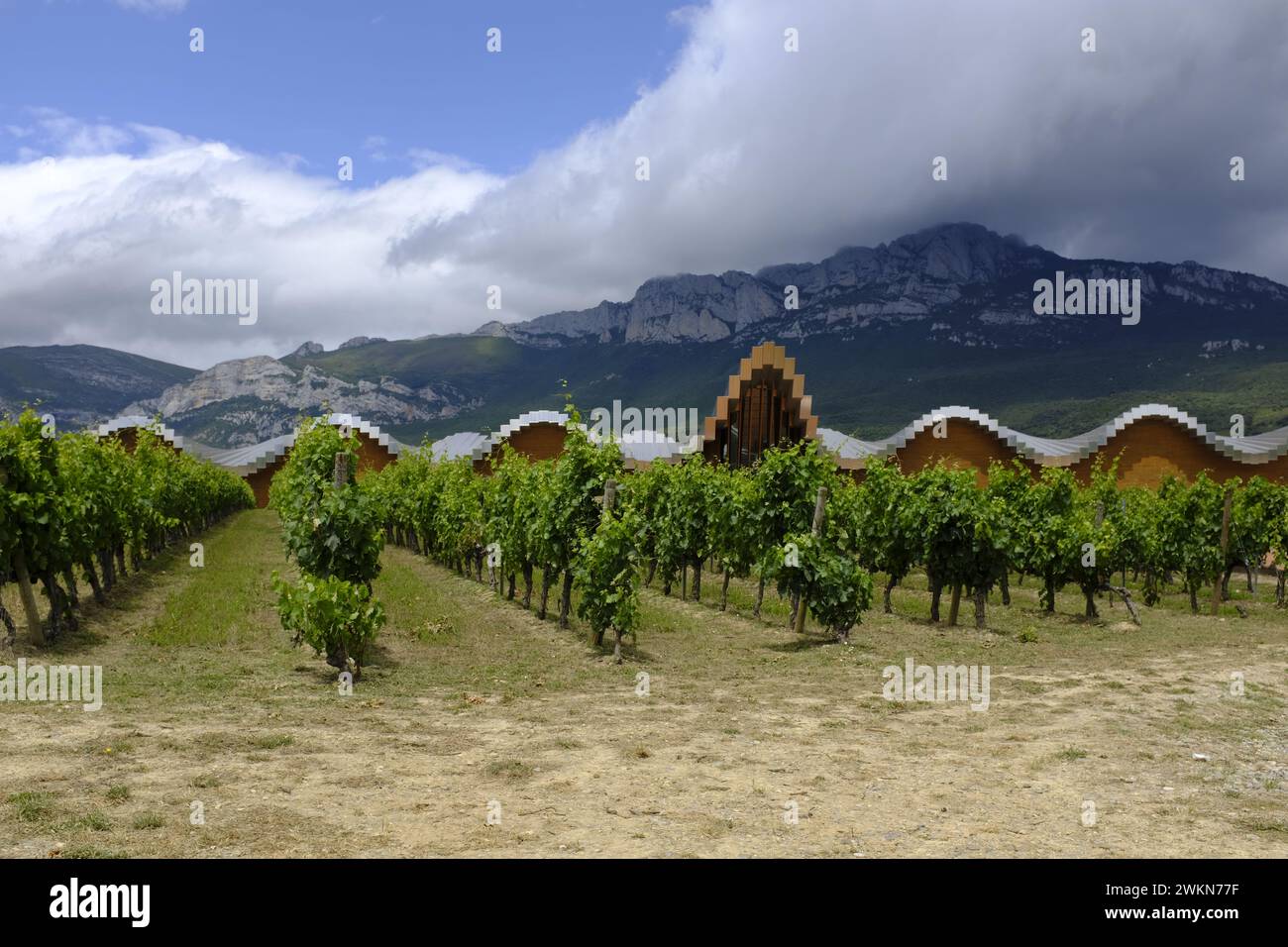 Ysios winery designed by Santiago Calatrava, La Rioja, Spain Stock ...