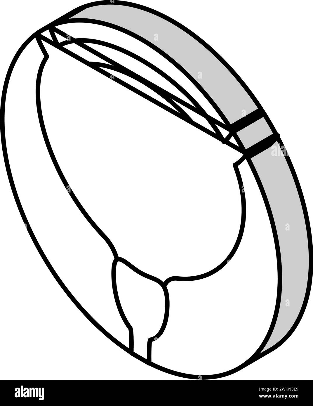 inability control bladder disease symptom isometric icon vector ...