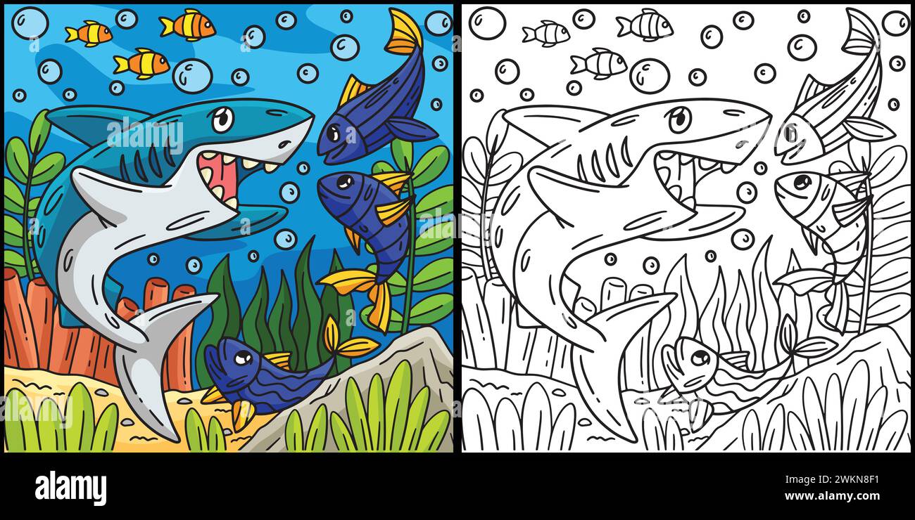 Shark and friend hi-res stock photography and images - Alamy