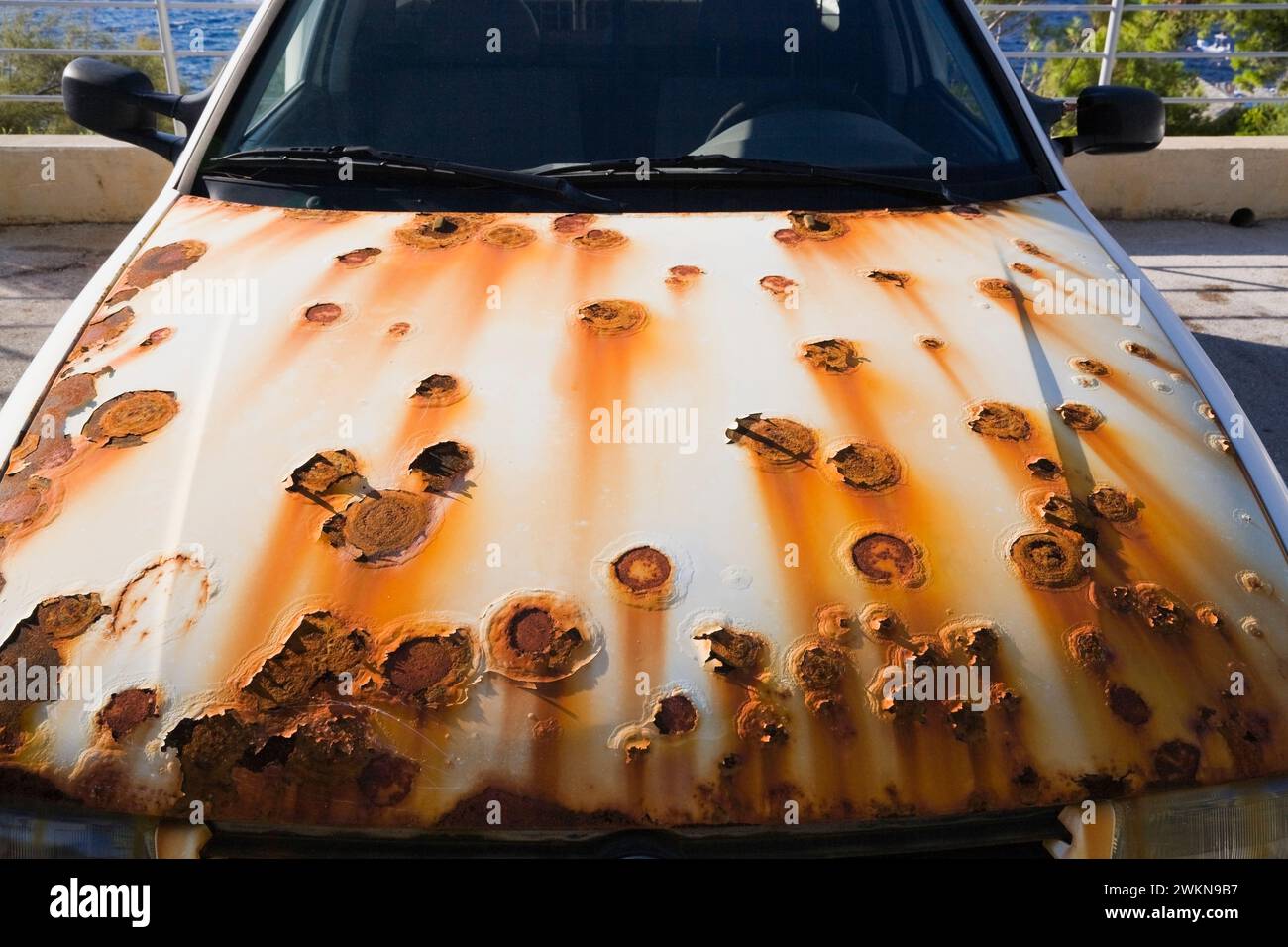 White compact size car with circular rust spots on front hood ...