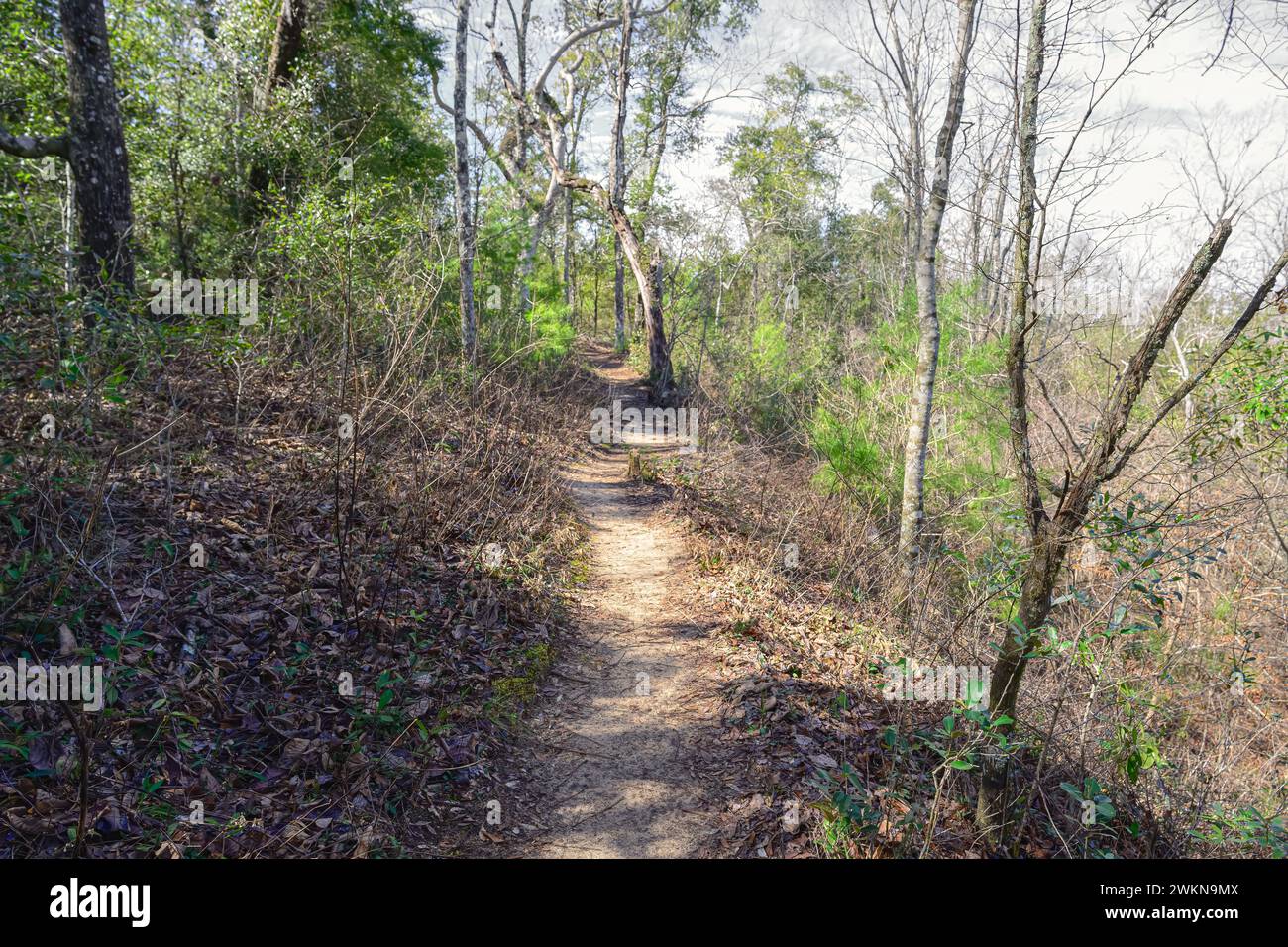 Entering upon the Garden of Eden Trail, where every footstep unfolds a ...