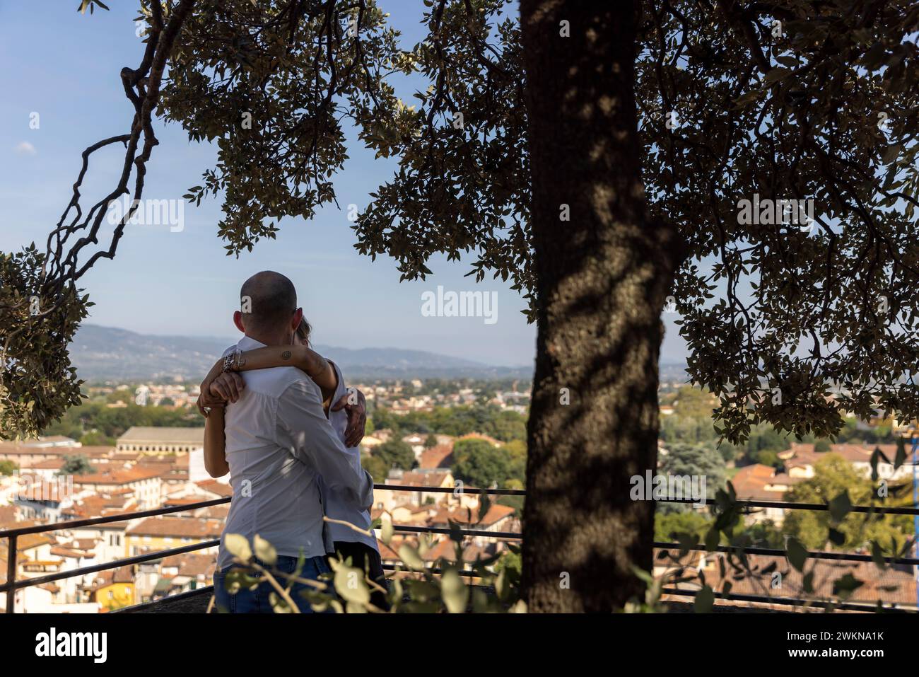 At the top of Torre Guinigi in Lucca, Italy is a little grove of 7 half ...