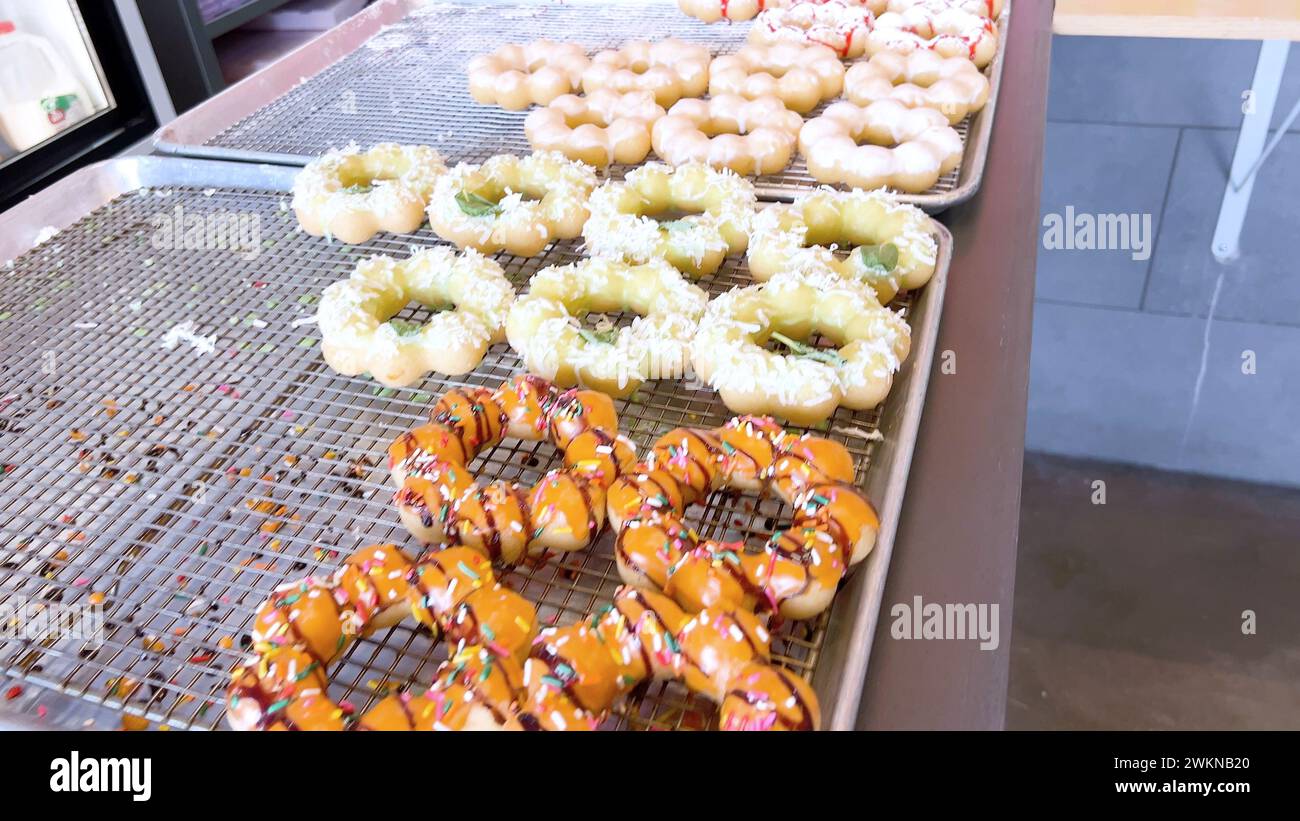 Assorted Mochi Donuts Displayed on Baking Trays, Ready to Enjoy Stock Photo - Alamy