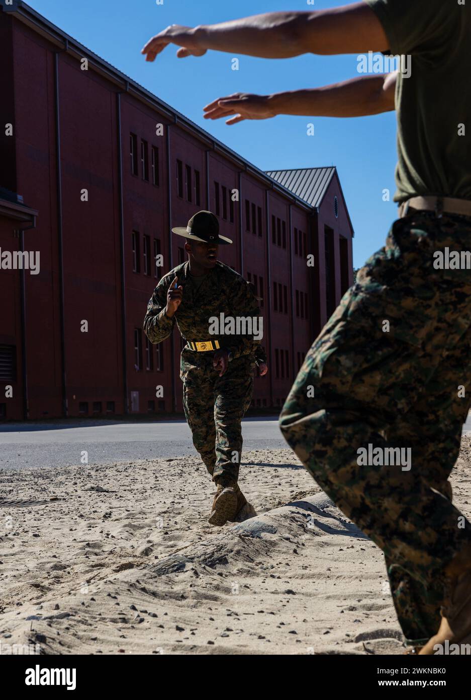 Parris Island, South Carolina, USA. 21st Feb, 2024. Recruits with Lima ...