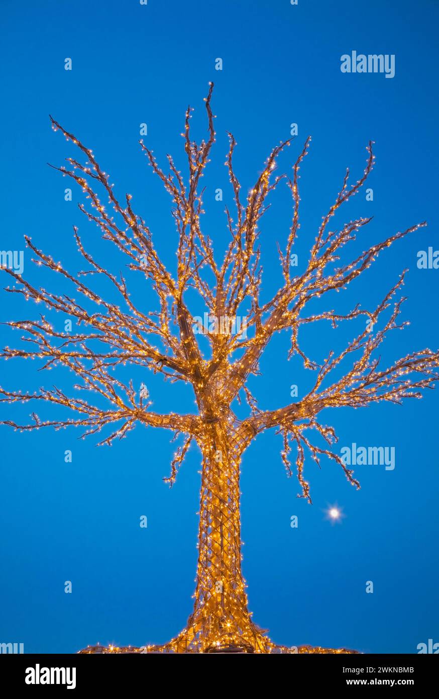 Illuminated non-traditional Christmas tree structure at dusk, Old ...