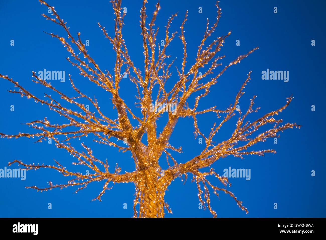 Illuminated non-traditional Christmas tree structure at dusk, Old ...