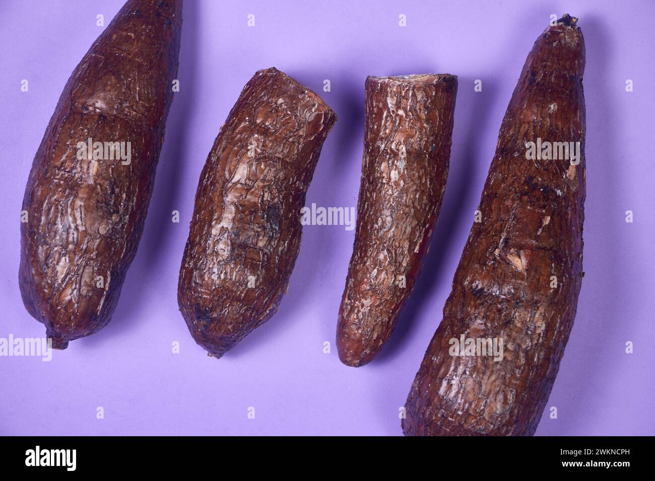 Fresh Organic Cassava Root, Manioc Esculenta, yuca On purple Background ...
