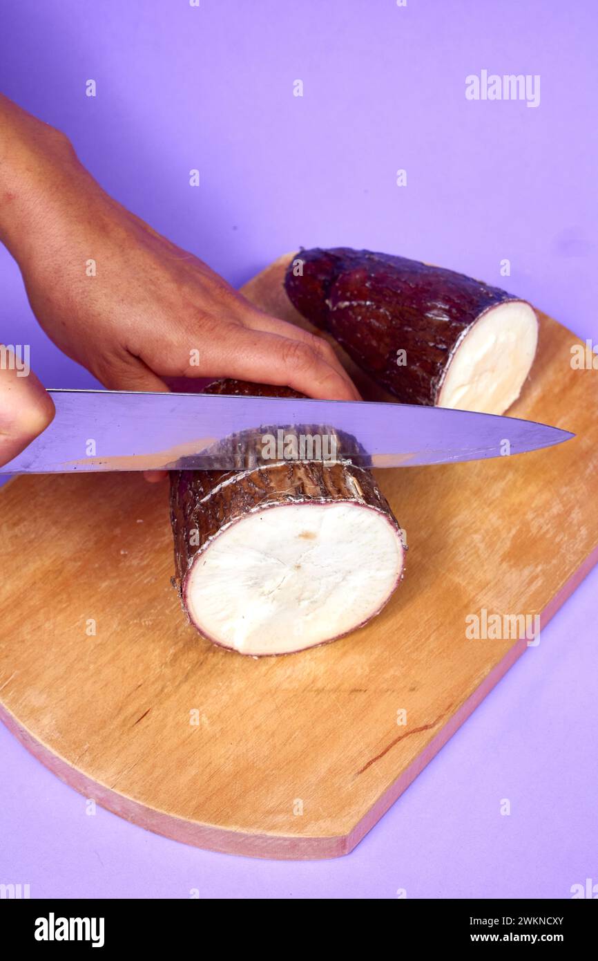 Fresh Organic Cassava Root, Manioc Esculenta, yuca On purple Background ...