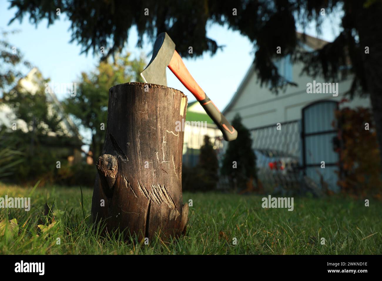 Backyard grass low angle hi-res stock photography and images - Alamy