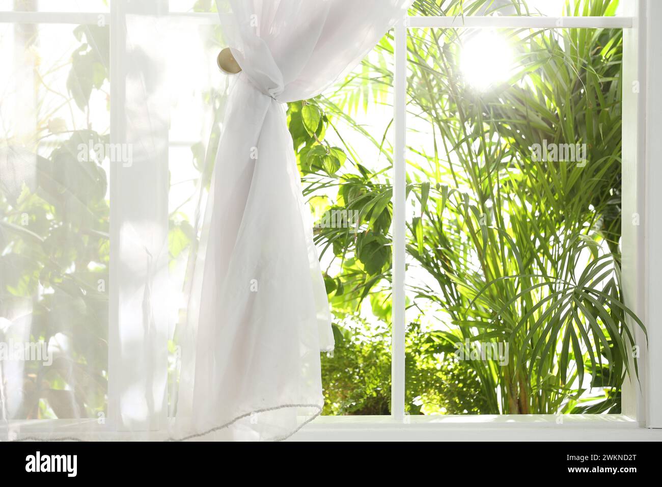 Beautiful view through window on garden in morning Stock Photo - Alamy