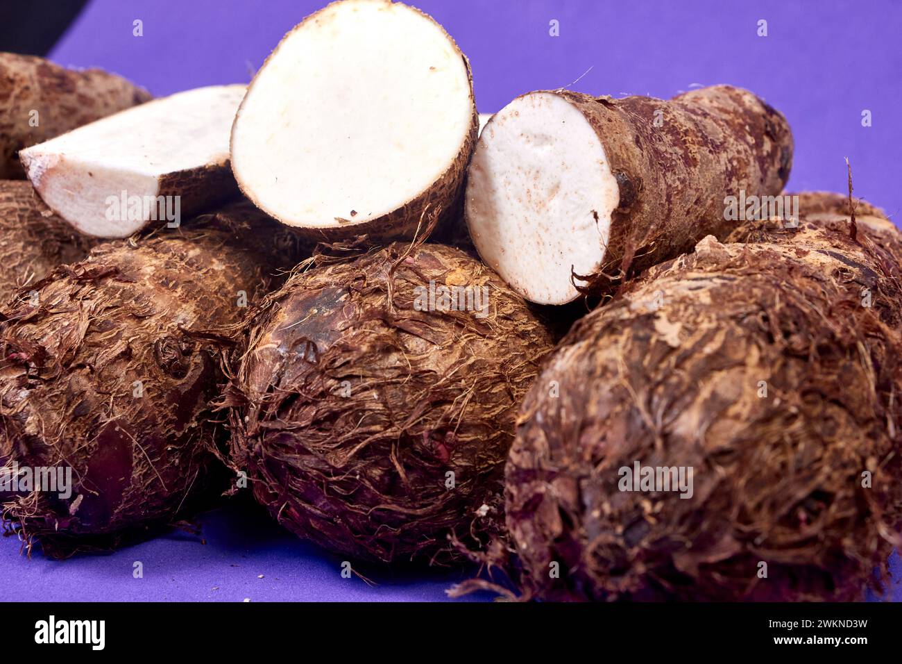 closeup of taro root vegetable, eddo malanga, hands table slice Stock ...