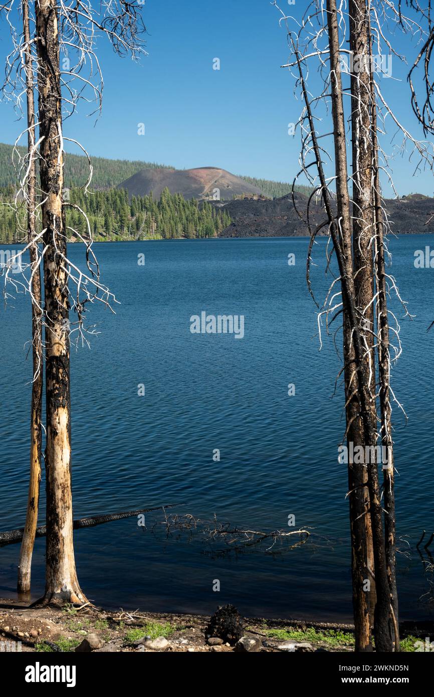 Cinder Cone Stands In The Distance Of Snag Lake in Lassen Volcanic ...