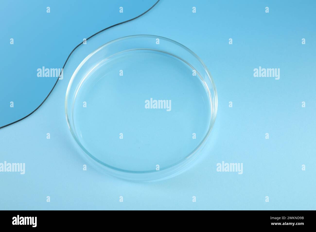 Empty petri dish on light blue background, above view Stock Photo - Alamy