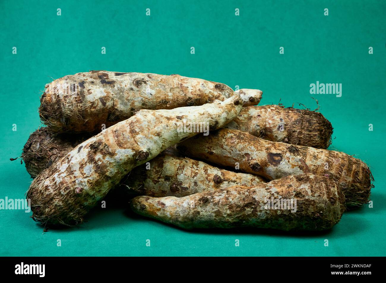 closeup of taro root vegetable, eddo malanga, hands table slice Stock ...