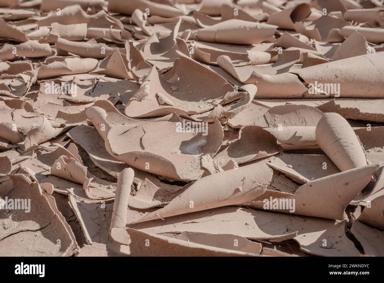 Curling Mud Flakes Away In Desert Sun in Capitol Reef Stock Photo - Alamy