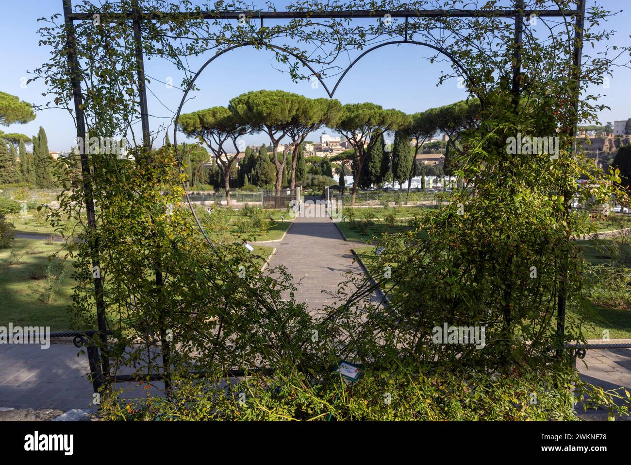 The Rose Garden, in Rome, Italy Stock Photo - Alamy