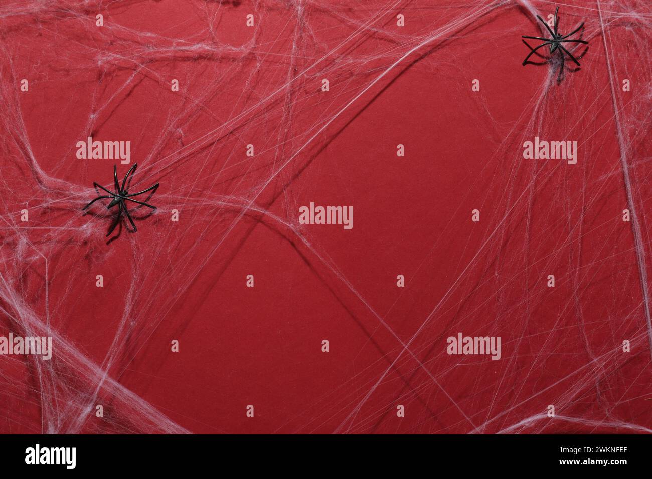 Neglected spiders web hi-res stock photography and images - Alamy