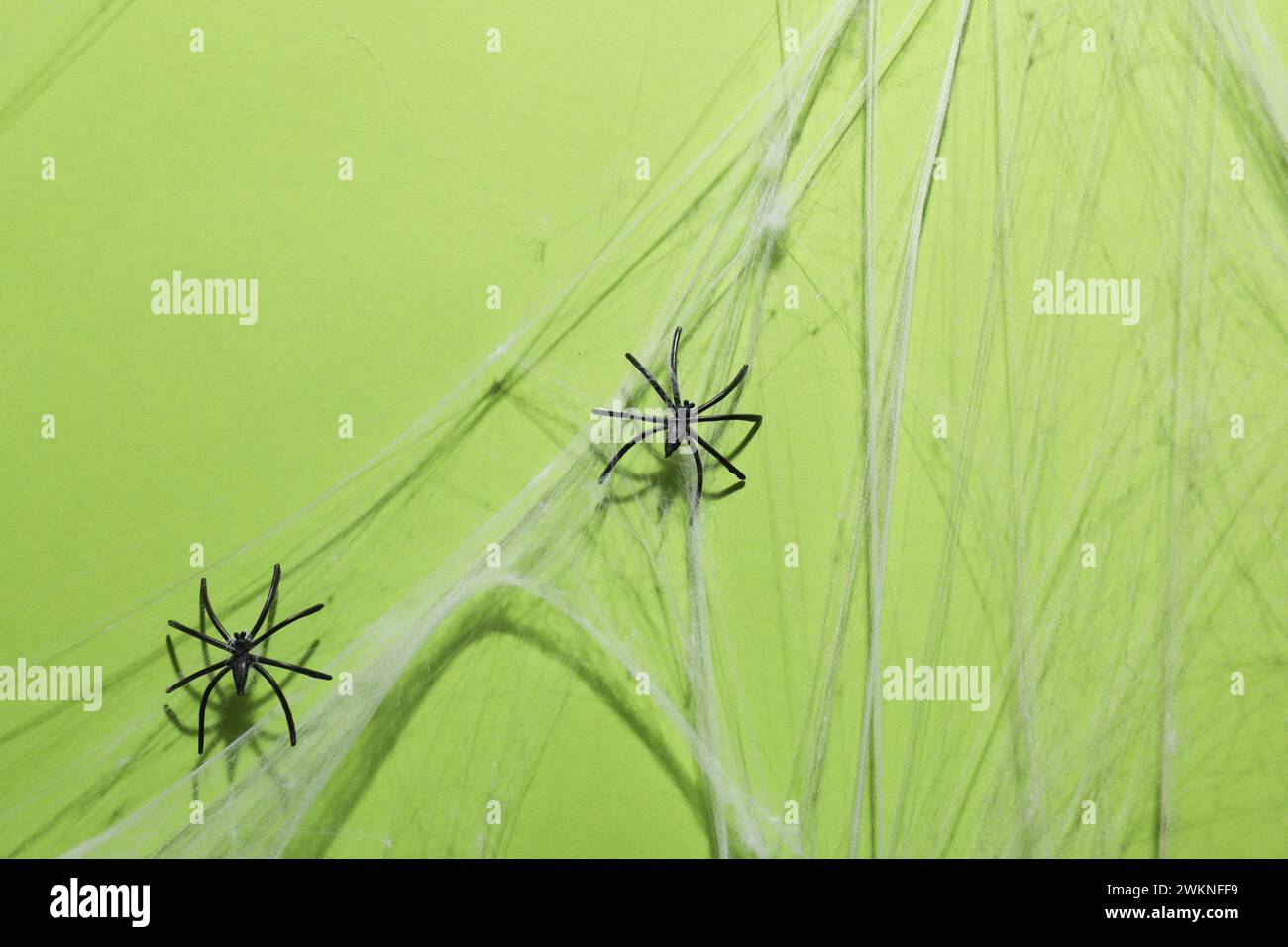Neglected spiders web hi-res stock photography and images - Alamy
