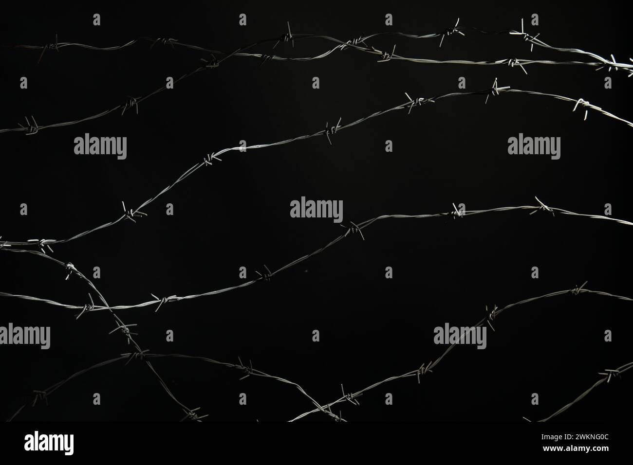 Shiny metal barbed wire on black background Stock Photo - Alamy