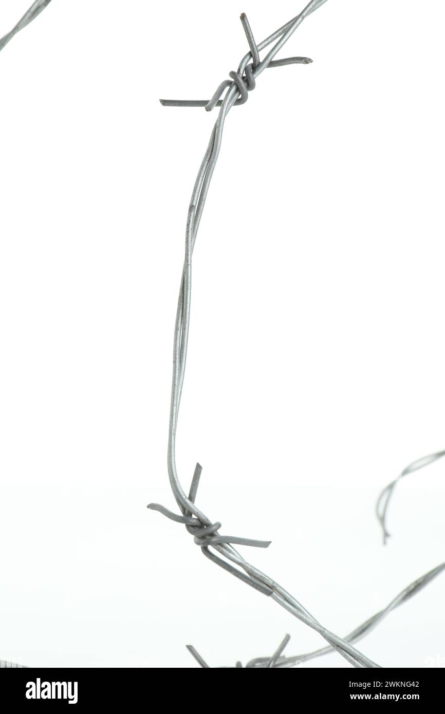 Shiny metal barbed wire isolated on white Stock Photo - Alamy