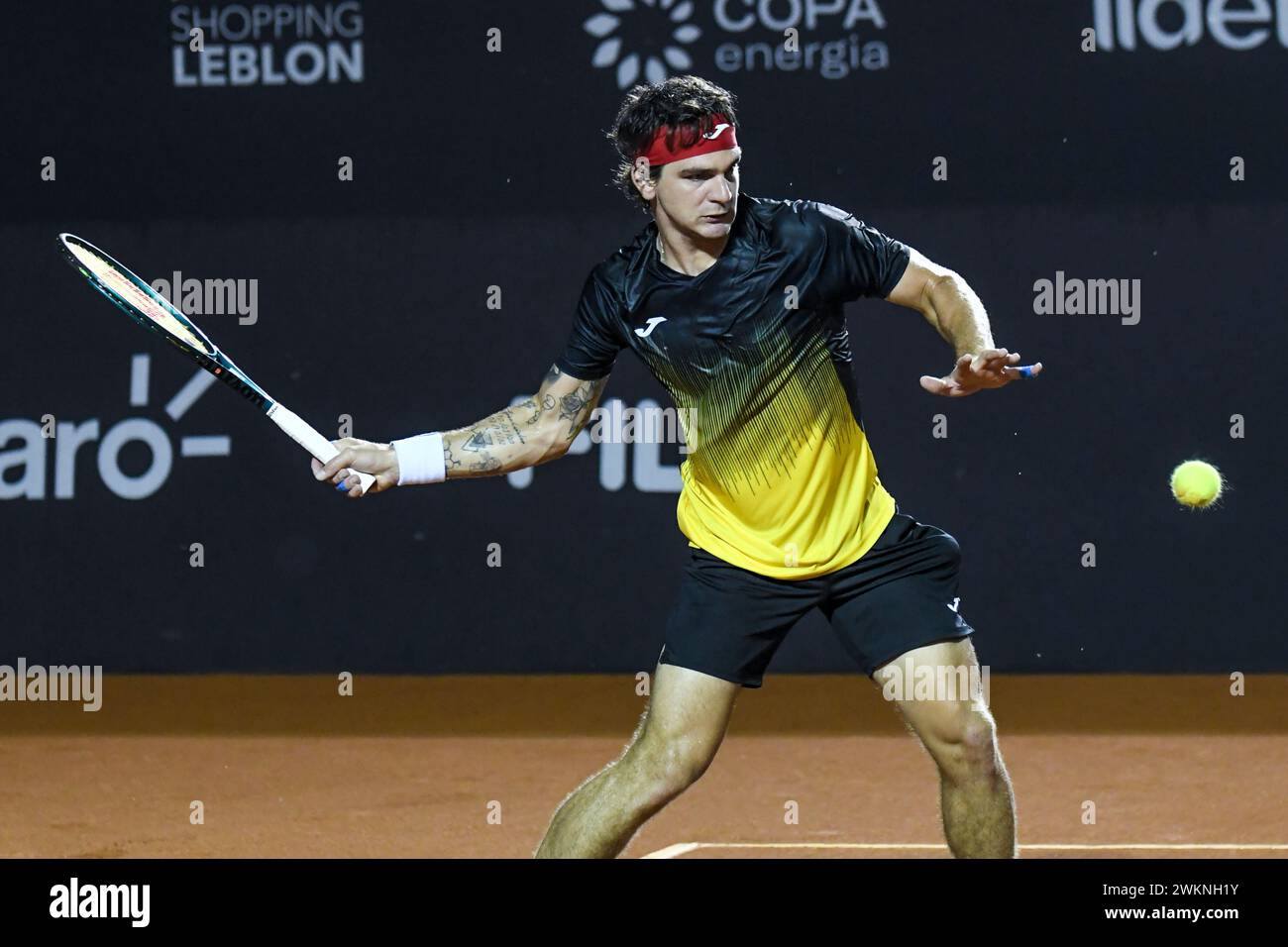 Thiago seyboth wild brazil hi-res stock photography and images - Alamy