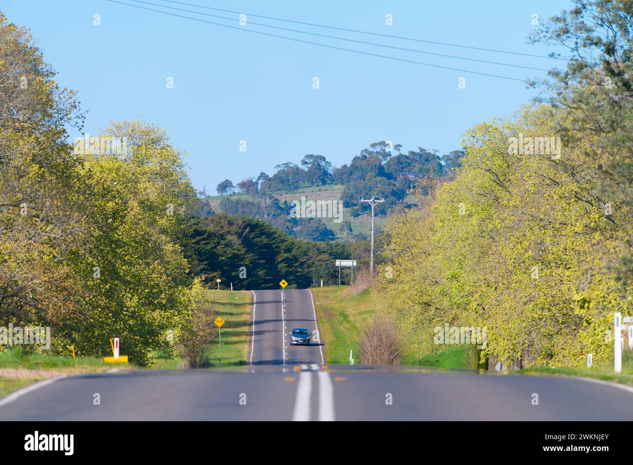 Country road showing green grass roadside, hills, trees and car in ...