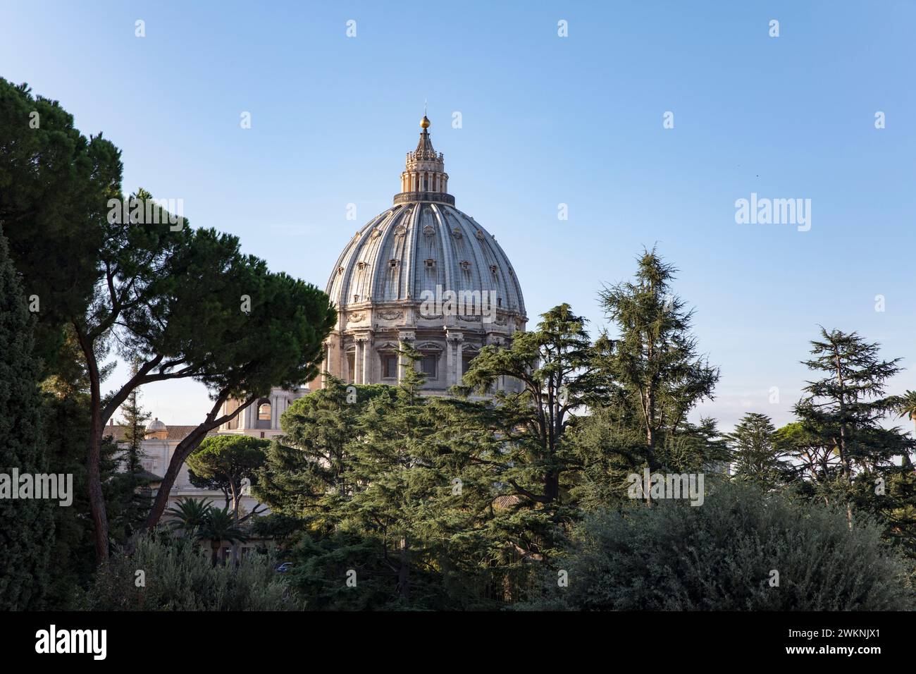 Empty piazza san pietro in the vatican hi-res stock photography and ...