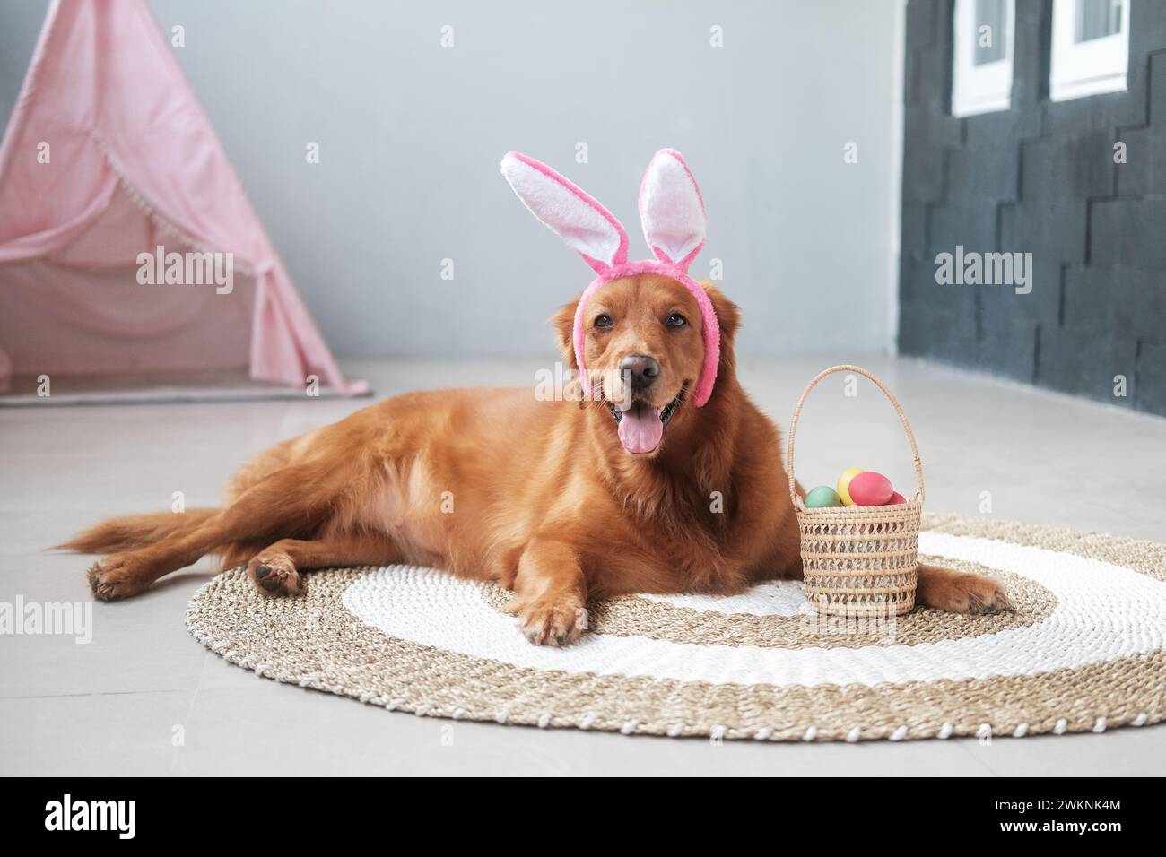 Easter Golden Retriever dog with bunny ears and basket containing ...