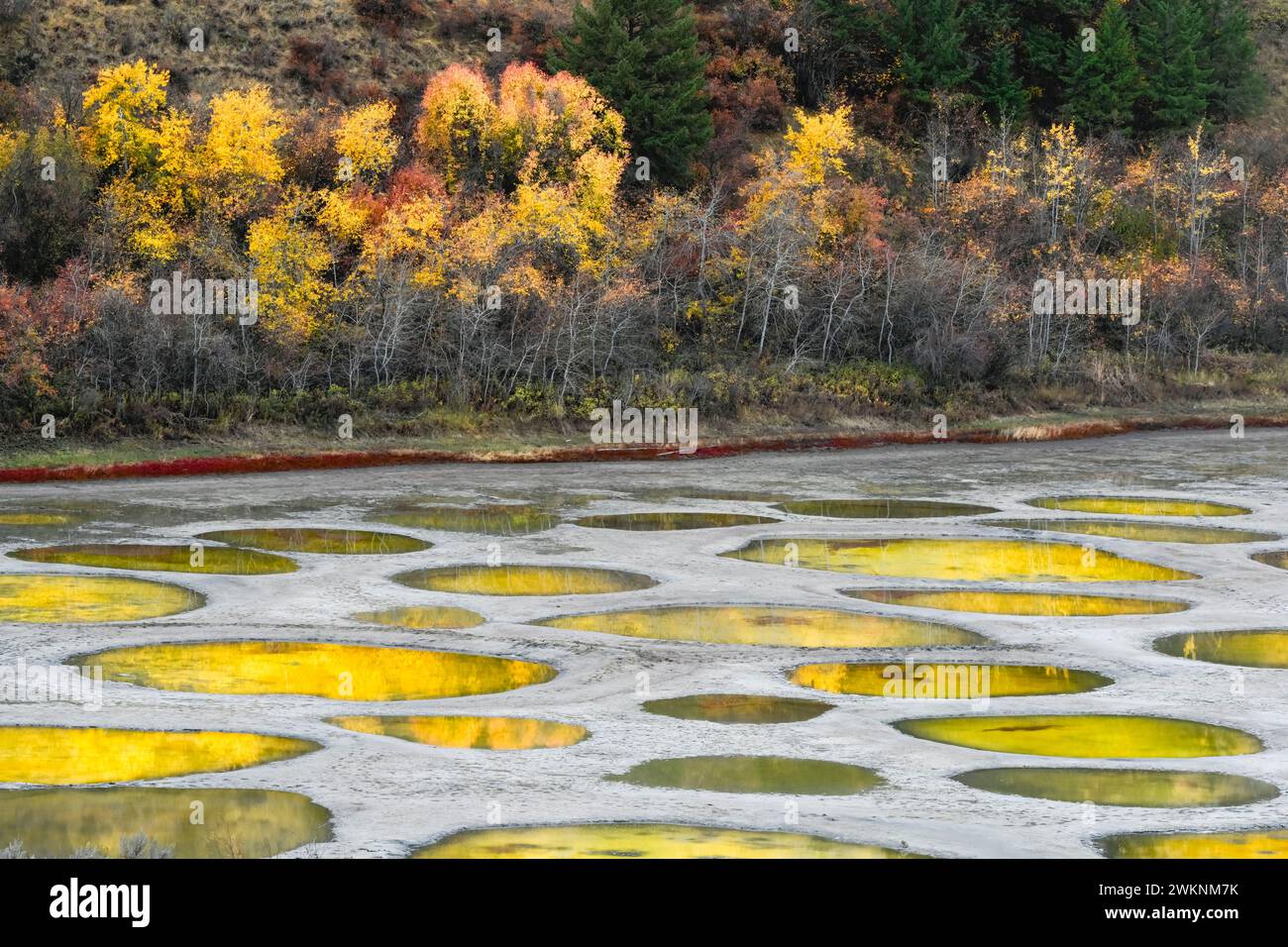 Lake Kliluk, aka Spotted Lake, an Okanagan Sylix First Nations Medicine ...