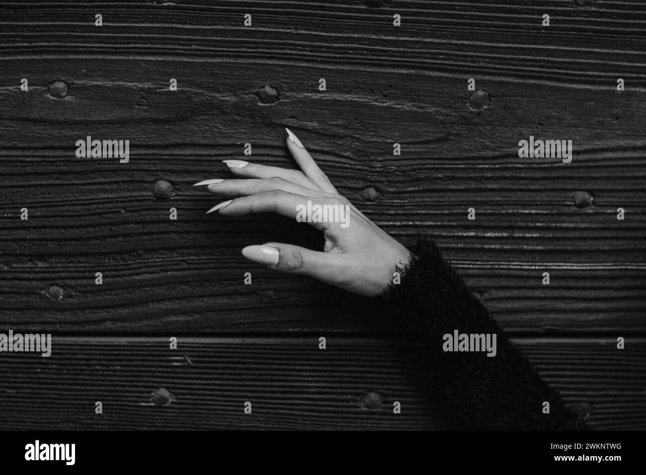 Monochrome image capturing a hand lightly touching a textured wooden ...