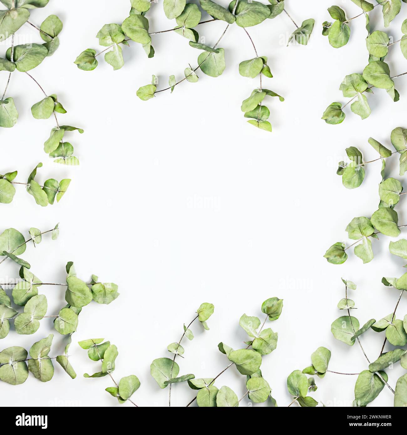 Green leaves frame with copy space hi-res stock photography and images ...