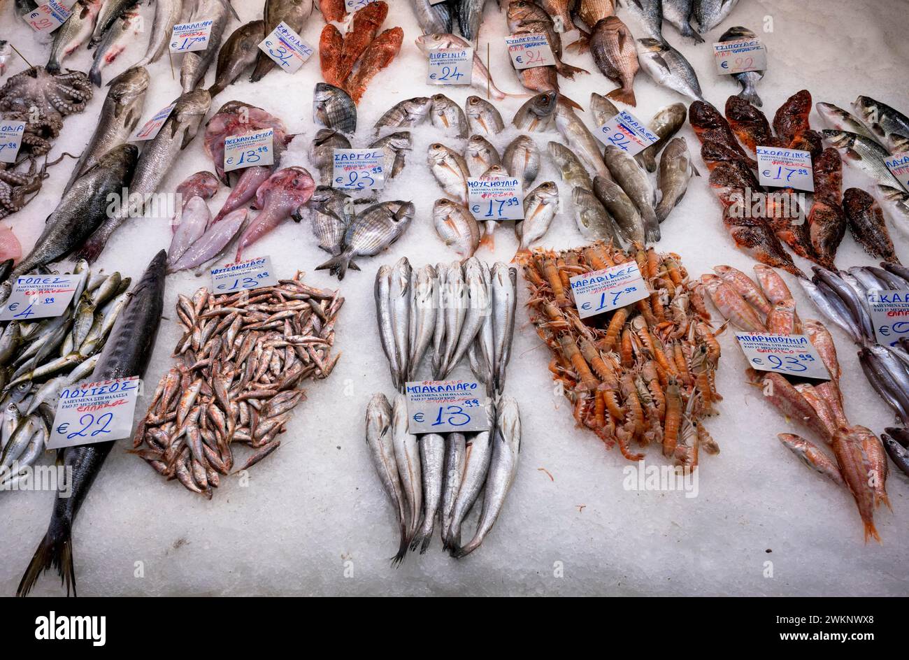 Display of fresh fish and seafood on ice, fishmonger, food, Kapani ...