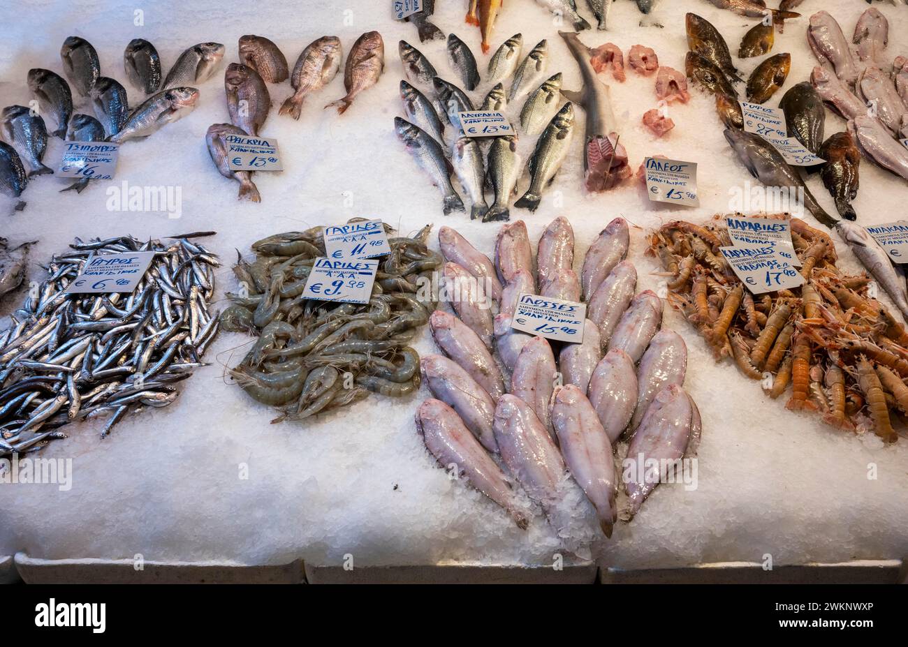 Display of fresh seafood hi-res stock photography and images - Alamy