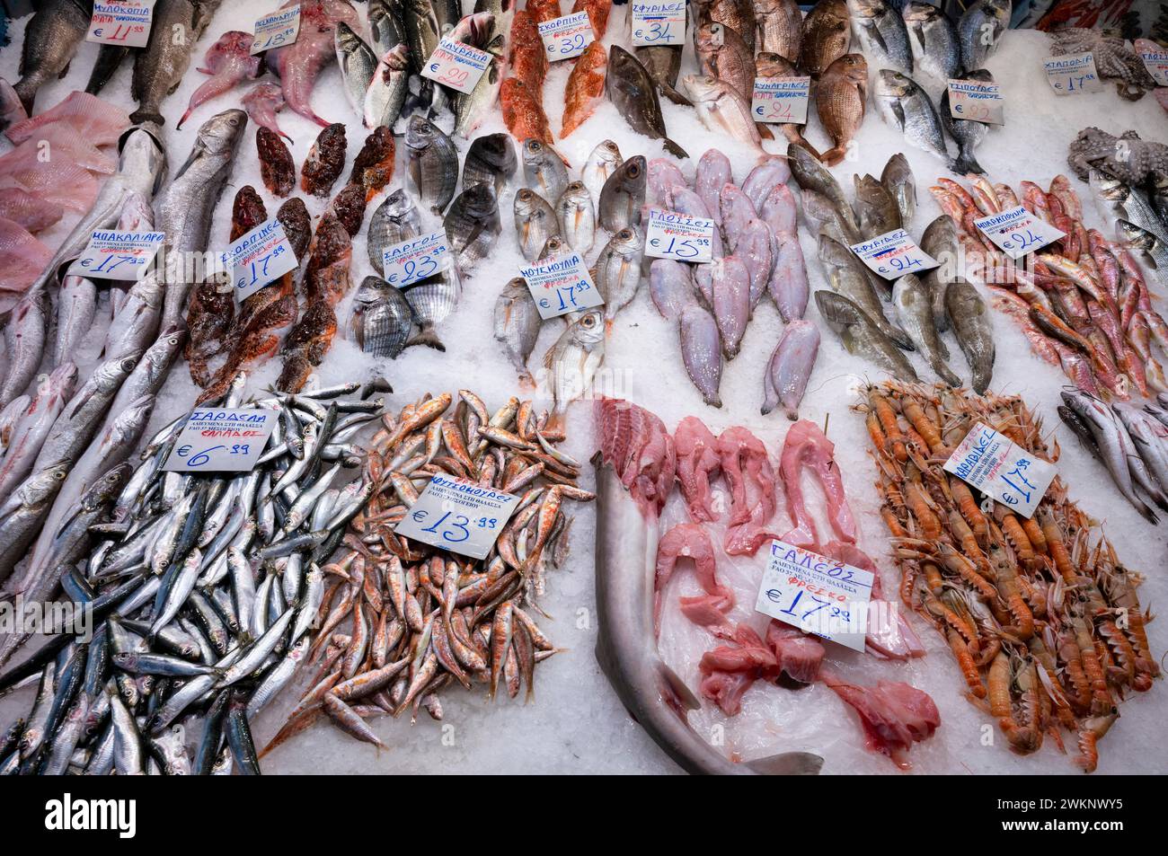 Display of fresh fish hi-res stock photography and images - Alamy